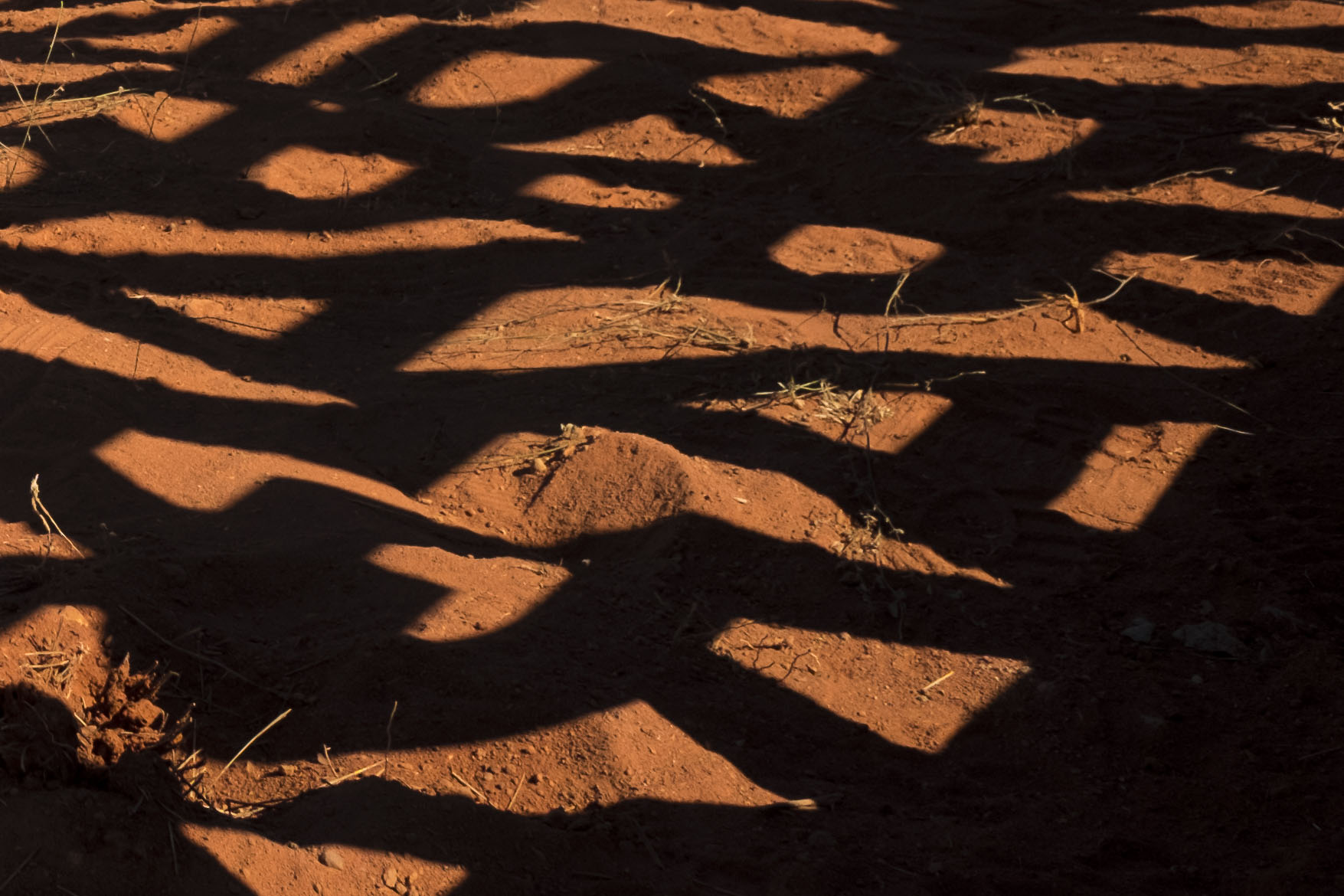 Matuwa Kurrara Kurrara - Publik