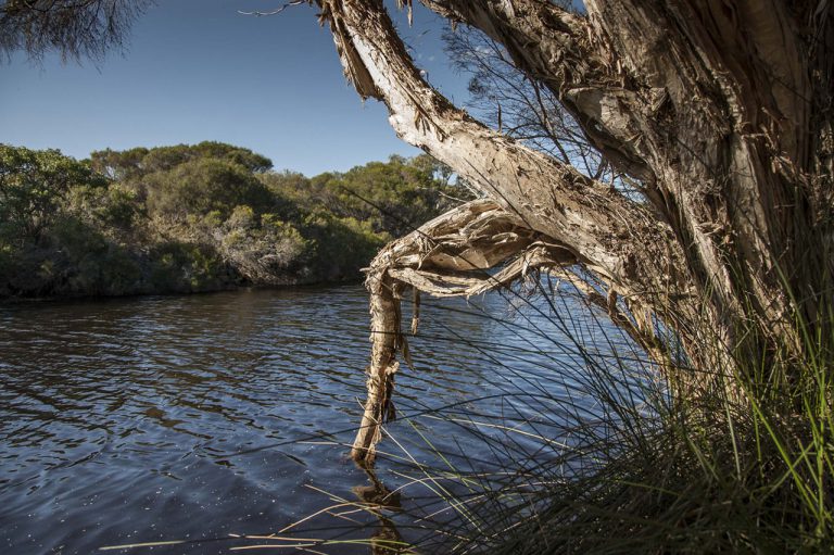 Turquoise Way Walk Trail Interpretive Signage - Publik
