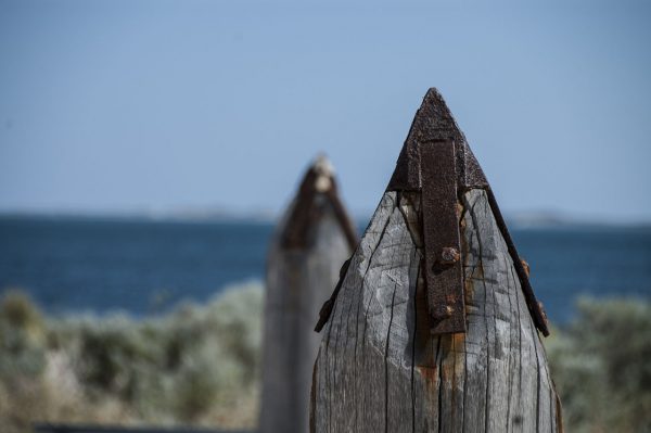 Turquoise Way Walk Trail Interpretive Signage - Publik