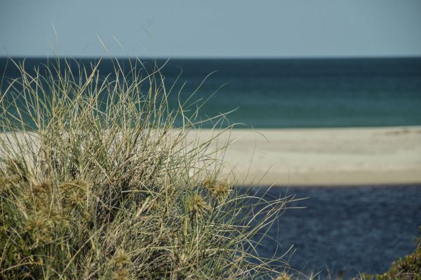 Turquoise Way Walk Trail Interpretive Signage - Publik